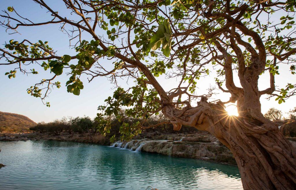 Escape to Alila Hinu Bay - Good Food Middle East