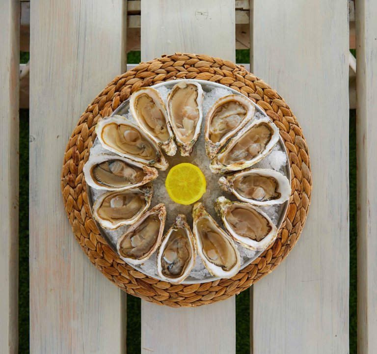 Presenting Dibba Bay – the only gourmet oyster farm in the Middle East