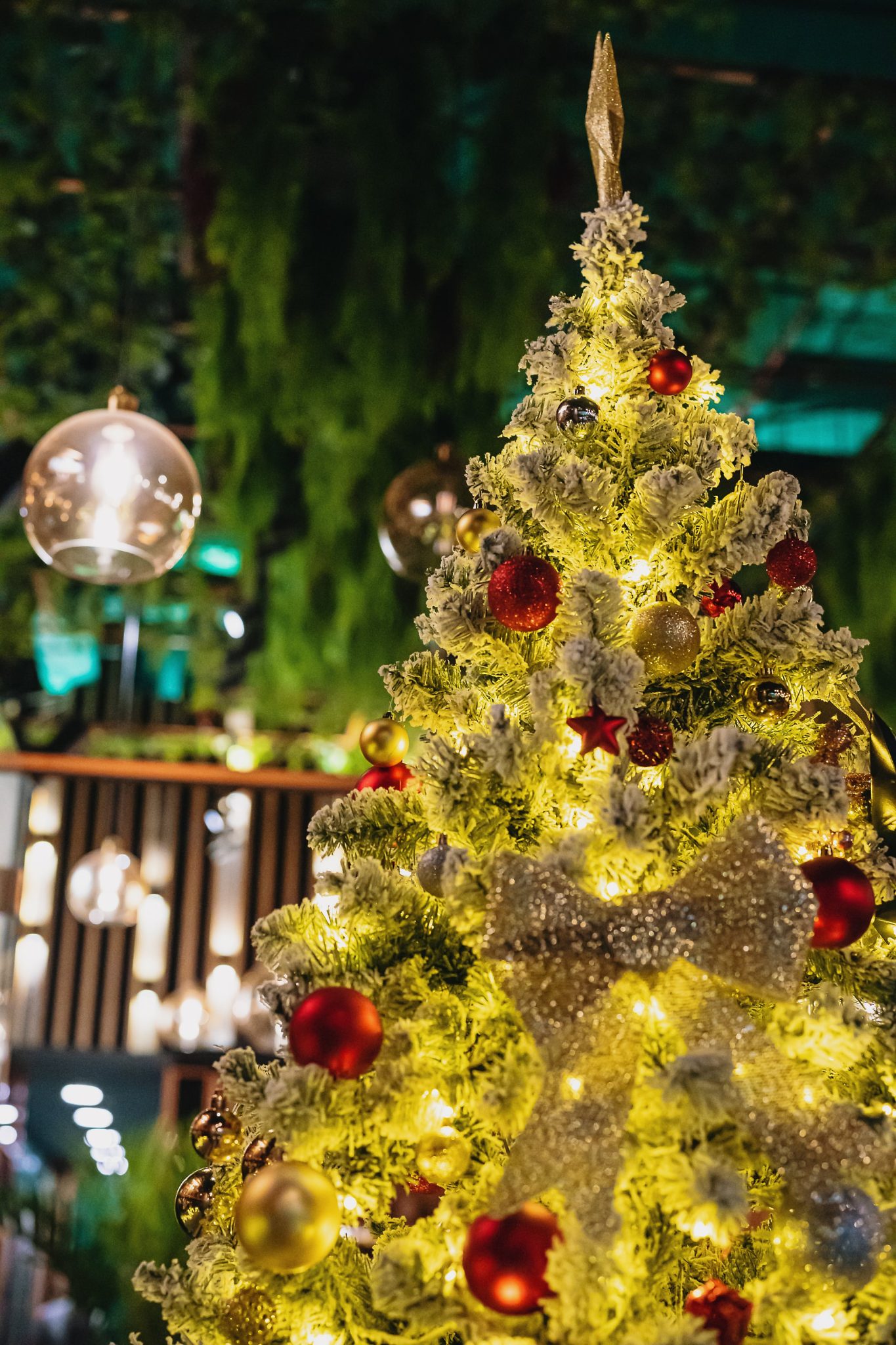 Sirali: Celebrate festive season at the Turkish restaurant