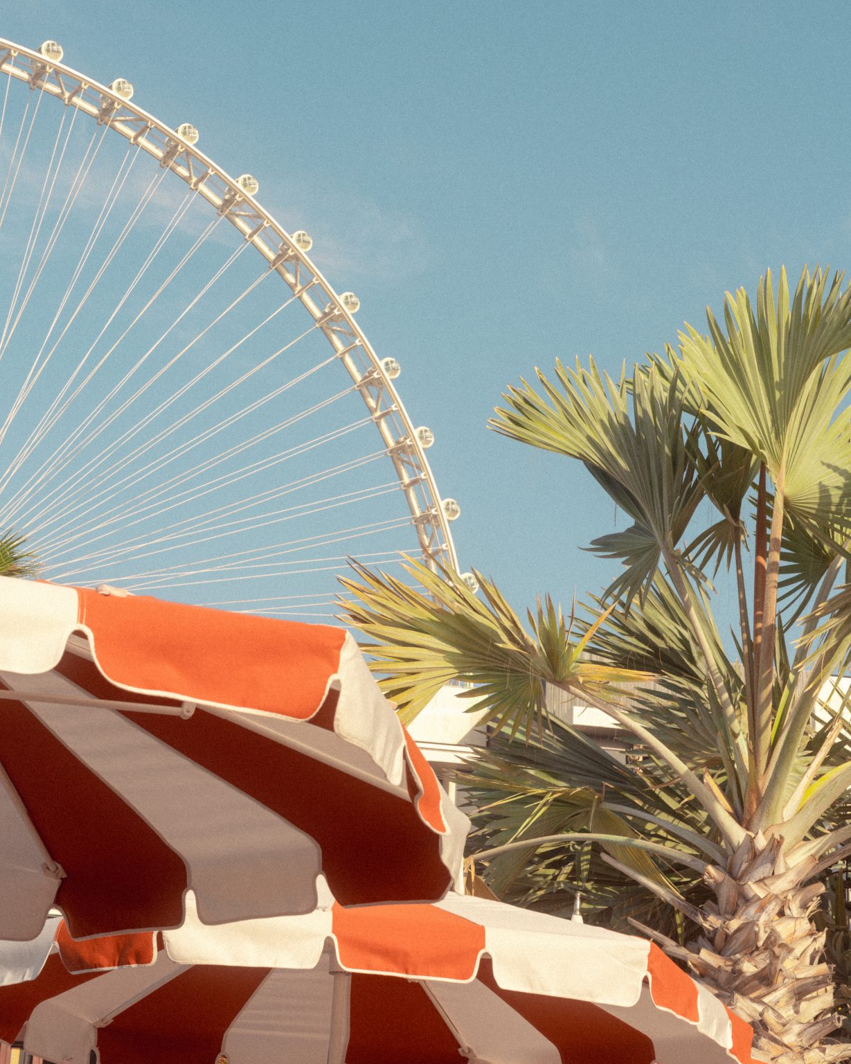 Alizée Pool and Beach Review