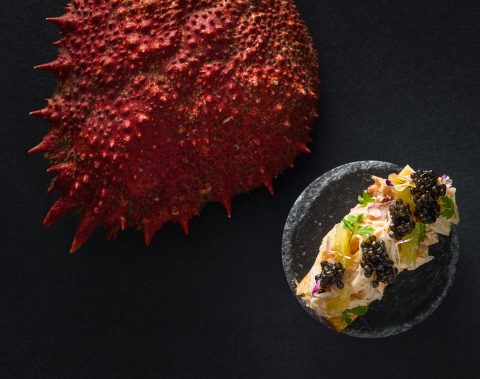 15 spectacular things to do in the UAE in January 2025