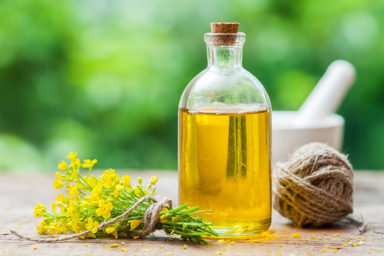 Everything You Need to Know About Cooking Oils